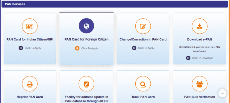 Business PAN Card Apply Online in 2025 – Guide for New Business Owners ...